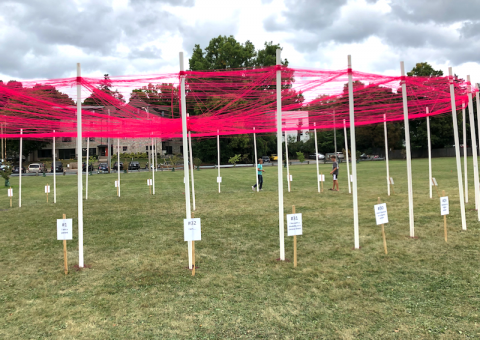 Joining Us Together with Bright Pink Yarn: The Unity Art Project | ELi ...